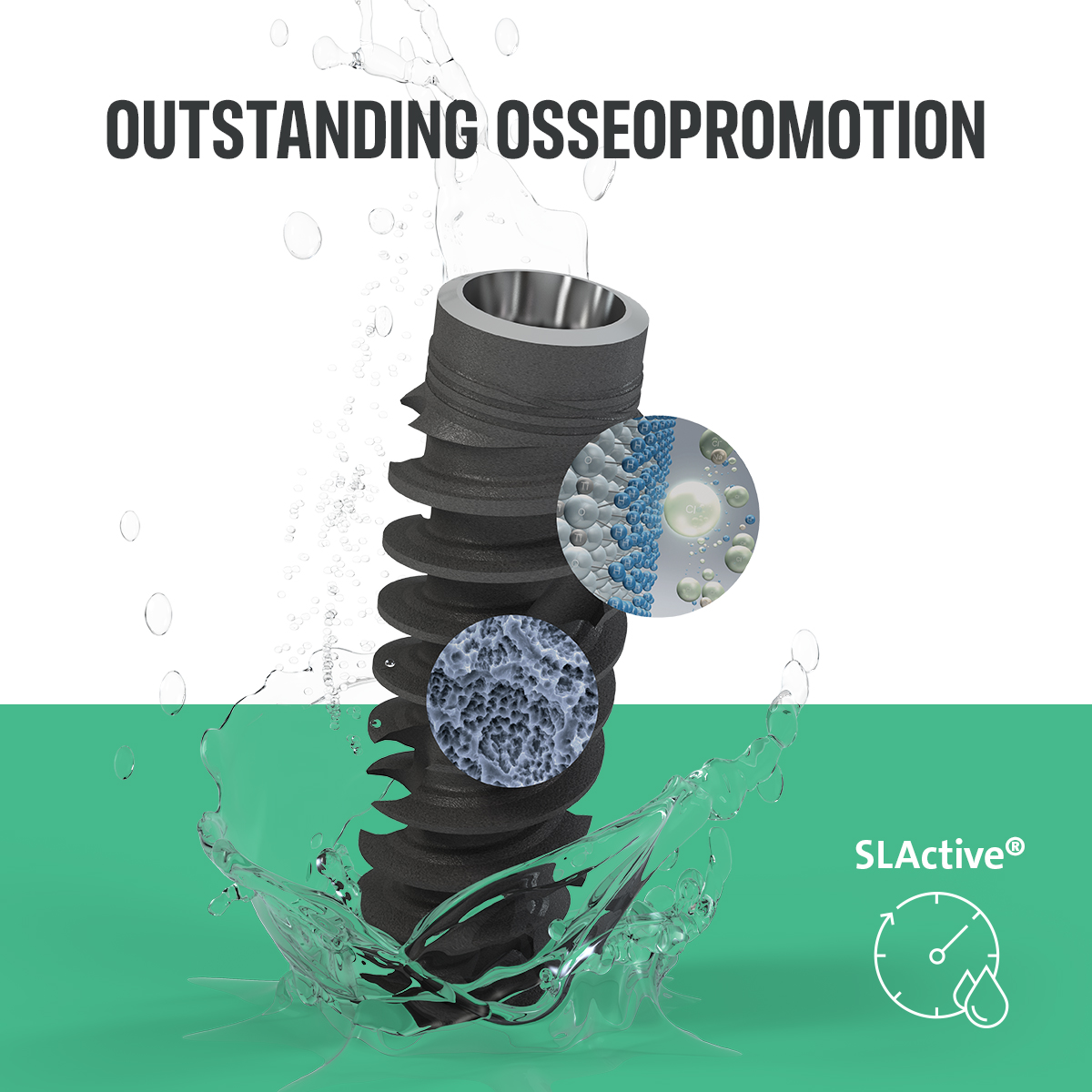 BLC Implant, Ø 5.5mm WB, SLActive® 12mm, Roxolid® | Straumann Group ...